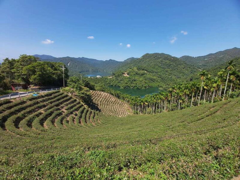 From Taipei: Thousand Island Lake and Pinglin Tea Plantation - The Itinerary Breakdown: What to Expect