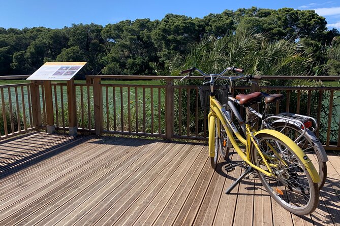 From the Old Town to the City of Arts  Small Group Bike Tour - Practical Details