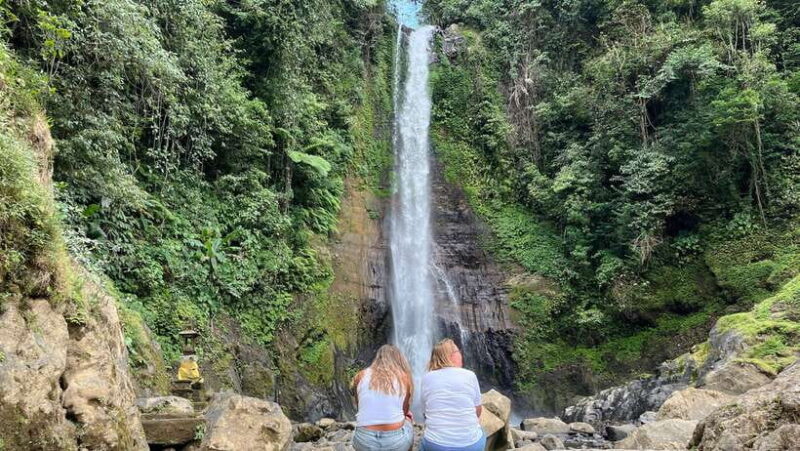 From Ubud: visit the best waterfalls arround - The Sum Up