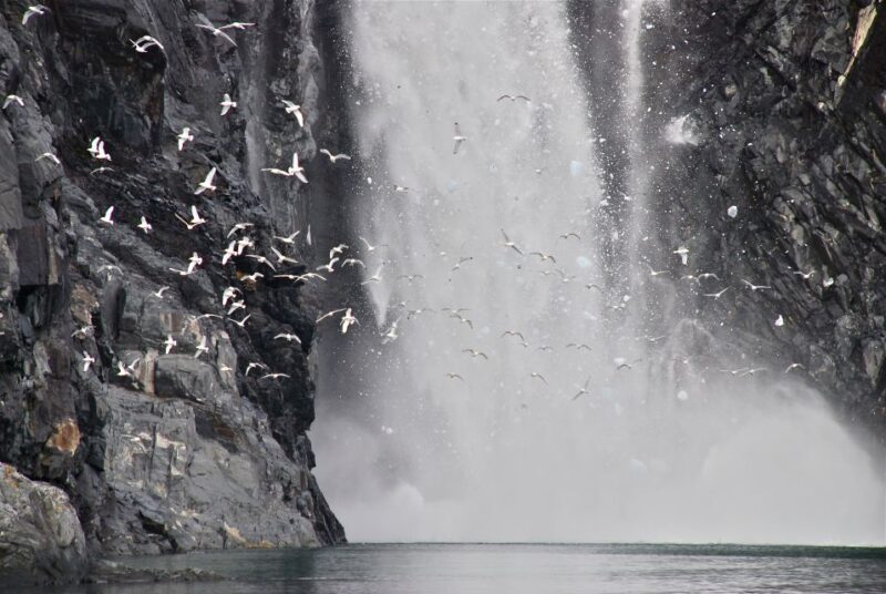 From Whittier: Glacier Quest Cruise with Onboard Lunch - Duration and Flexibility