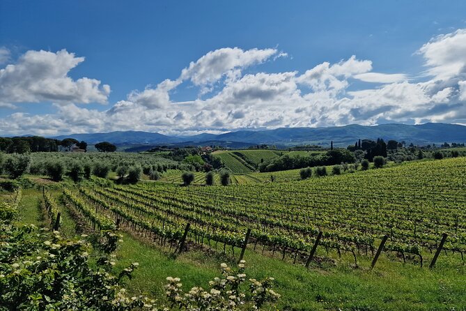 Full day 9h Private Tours 3 Top Wineries, Florence Limo Service - Final Thoughts