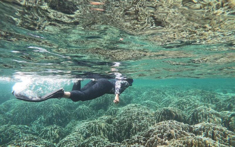 Full-Day Koh Lipe 7 points Snorkeling Experience with Lunch - In summary, this tour is best for those who want a well-organized, affordable, and engaging day exploring the waters around Koh Lipe with plenty of snorkeling and photo opportunities. It’s especially suited for travelers who appreciate authentic local boat rides and diverse marine landscapes, all wrapped into a 7-hour adventure.