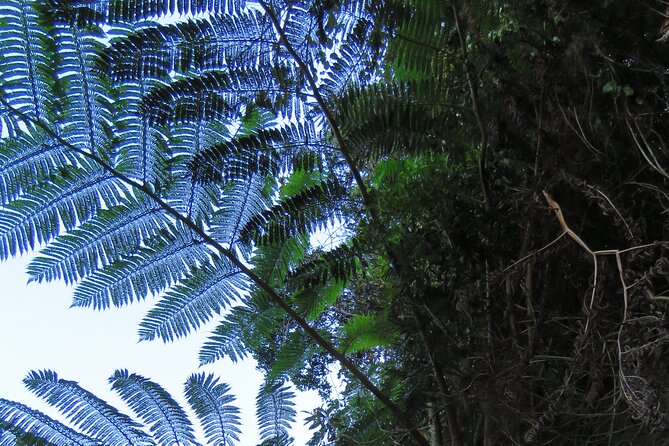 Full Day Private 4x4 Adventure in Madeira - Practical Considerations