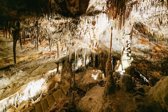 Full-day Tour to Drach Caves and Portocristo Town - FAQ