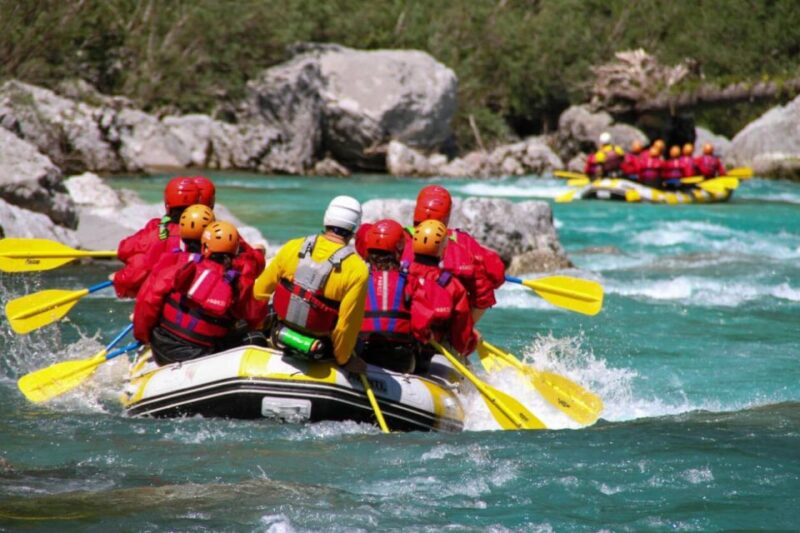 Gardiner: Yellowstone River Half-Day Whitewater Rafting - Who Should Consider This Tour?