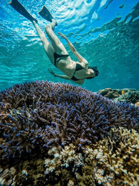 Gili Islands: Group or Private Snorkeling Tour with GoPro - FAQ