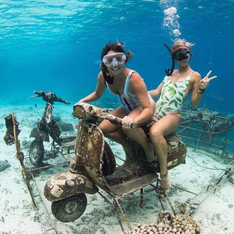 Gili Islands: Private Snorkeling Boat Tour with Local Guide - Practical Tips for Travelers