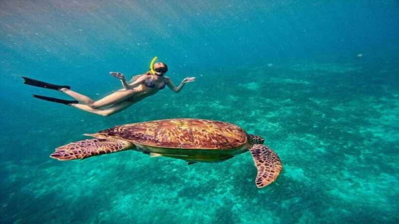 Gili Trawangan: Private Snorkeling 4 Spot with Gopro Camera - FAQ