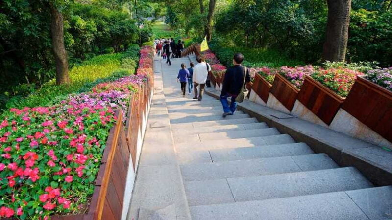 Guangzhou: Historic Blocks, Local Food Market & Night View - What’s Included and What to Consider
