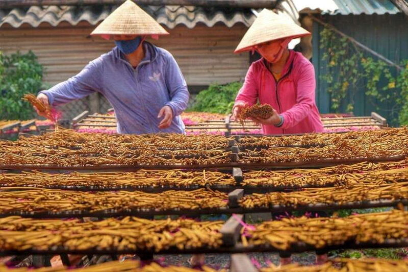Ha Noi: Private Quang Phu Cau Incense and Hat Making Village - Who Will Love This Tour?