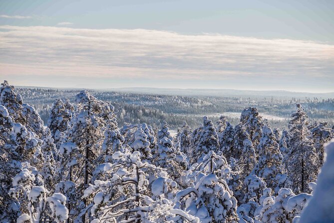 Half Day Guided Tour in the Wilderness of Levi - FAQs
