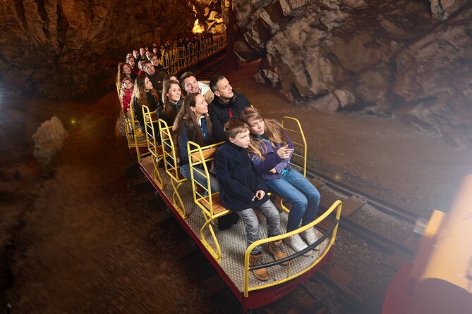 Half day tour to Postojna cave - Private tour from Koper - Who Should Consider This Tour?