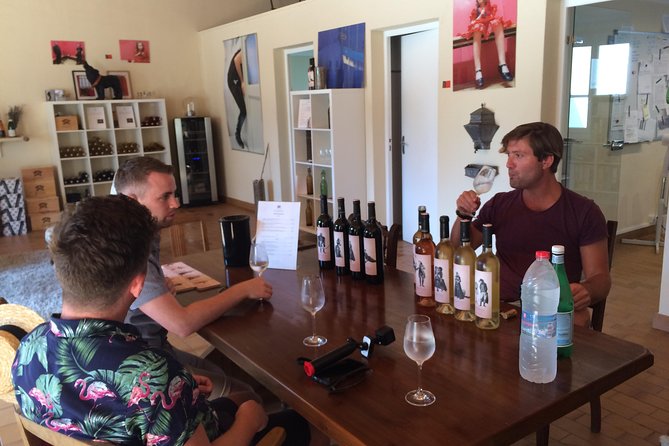 Half day wine tour. Private tour from Carcassonne and around. - FAQ: Practical Questions About This Wine Tour