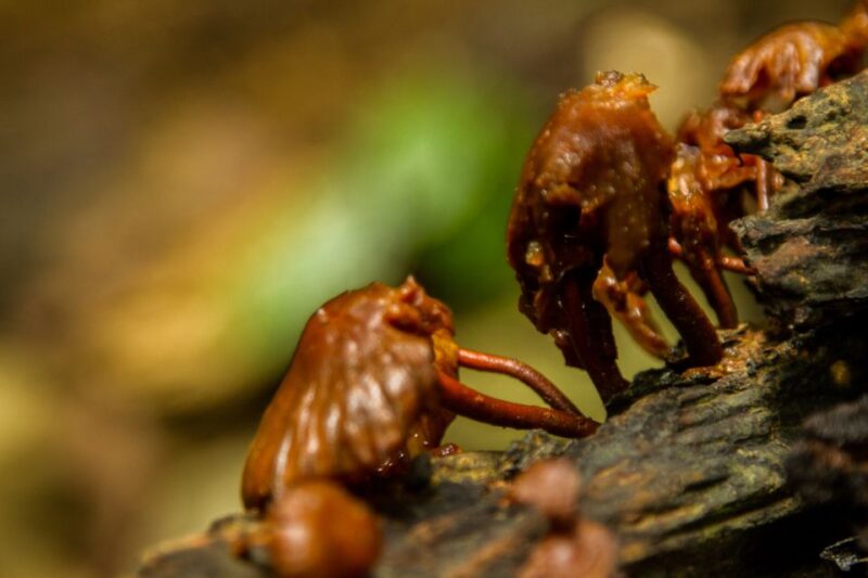 Hanoi: Full-day Cuc Phuong National Park Eco-adventure - Who Is This Tour Best Suited For?