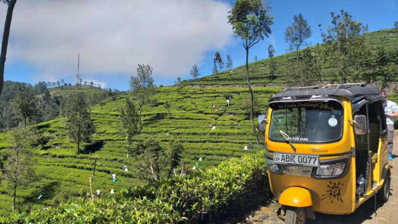 Haputale:Glorious Tuk Tuk Ride to Lipton'sSeat & Tea Factory - Final Thoughts