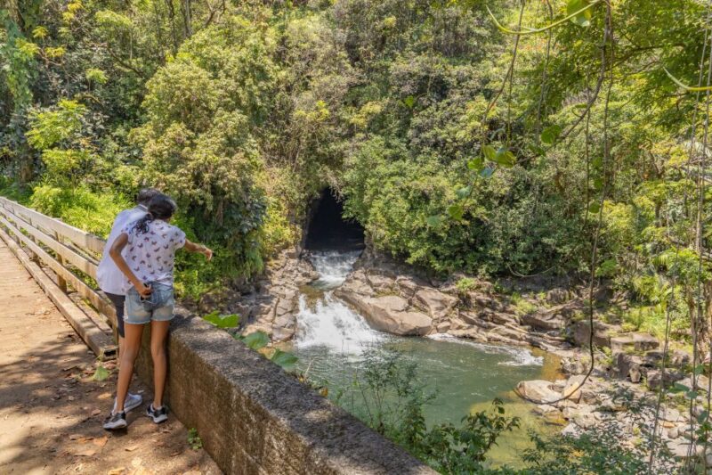 Hawaii: All-Inclusive Volcanoes and Waterfalls Private Tour - Frequently Asked Questions