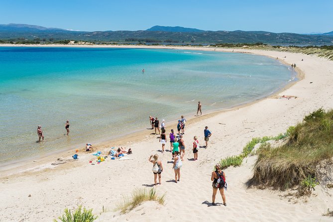 Hiking around Navarino Bay - The Sum Up