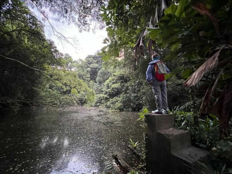 Hiking Tour to Seah Im bunker, Mount Faber and Henderson - The Practicalities: What to Know Before You Go