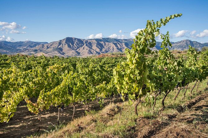 History & Local Wines: Amphitheater, Mitrium and Winery Visit - Practical Details