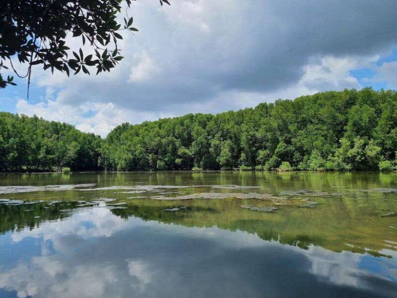 Ho Chi Minh:Can Gio Mangrove Forest w Guide Picked at hotel - Final Thoughts