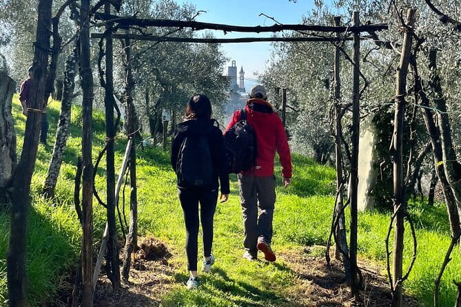 Horse ride in the Mugello (transfer from / to Florence) and Tuscan aperitif - The Sum Up