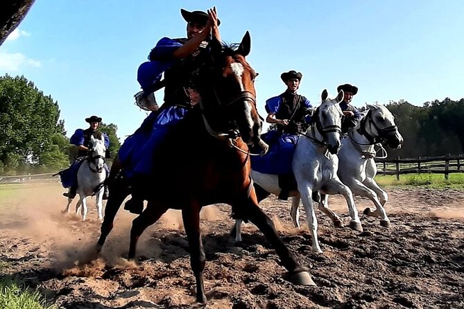 Horseshow on the Hungarian Puszta, private tour from Budapest with entry! - Who Will Love This Experience?
