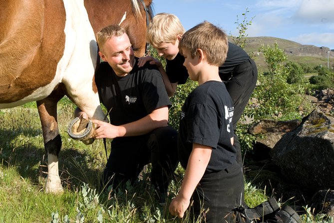 Icelandic Horseback Riding Tour Including Pick Up from Reykjavik - The Sum Up: Who Is This Experience Best For?