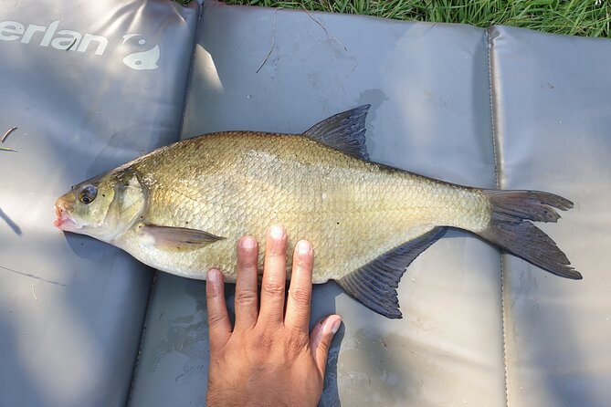 Introduction to fishing in Strasbourg - Additional Amenities and Considerations