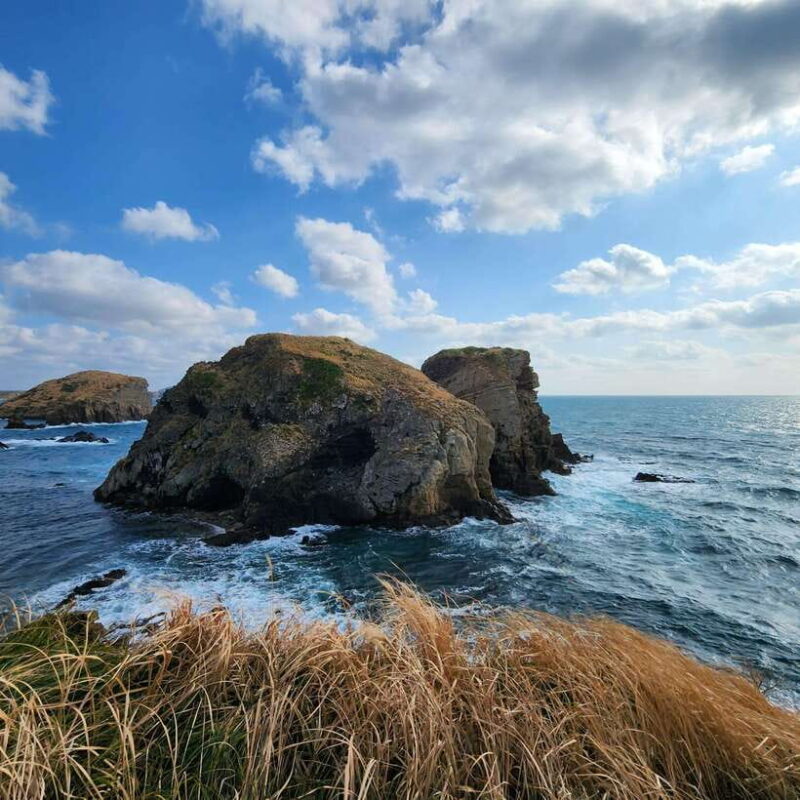 Jeju : Popular Sightseeing Private Car Charter Tour - Final Thoughts