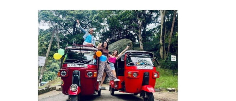 Kandy: City Tuk-Tuk Day Tours with a Local Guide - Who Should Consider This Tour?