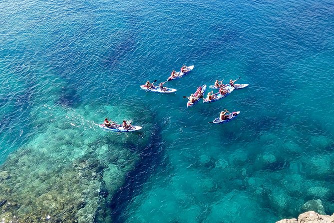 Kayak & Snorkelling in Papagayo - Final Thoughts