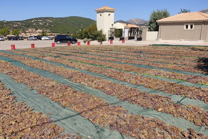 Kefalonia: Private Olive Oil, Honey & Wine Tasting Experience - FAQ