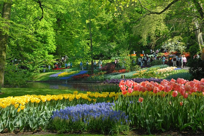 Keukenhof and Flower Fields Private Tour from Amsterdam - FAQs