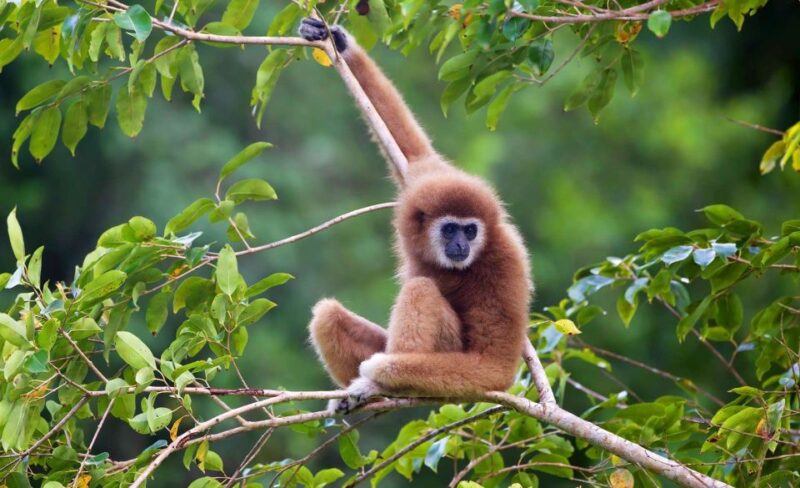 Khao Yai National Park: 2-Day Private Tour from Bangkok - Final Thoughts