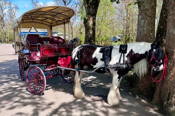 Killarney Jaunting Car Tour - FAQ