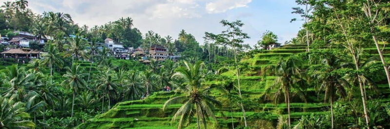 Kintamani: Sunrise Jeep Tour, Hot Spring, and Rice Terrace - Practical Details and Comfort
