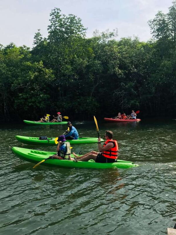 Ko Lanta: Half-Day Mangrove Kayaking Tour with Lunch - Duration and Value