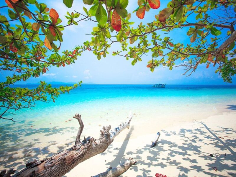 Ko Lanta: Private Exclusive Longtail to Ko Rok With Lunch - The Sum Up
