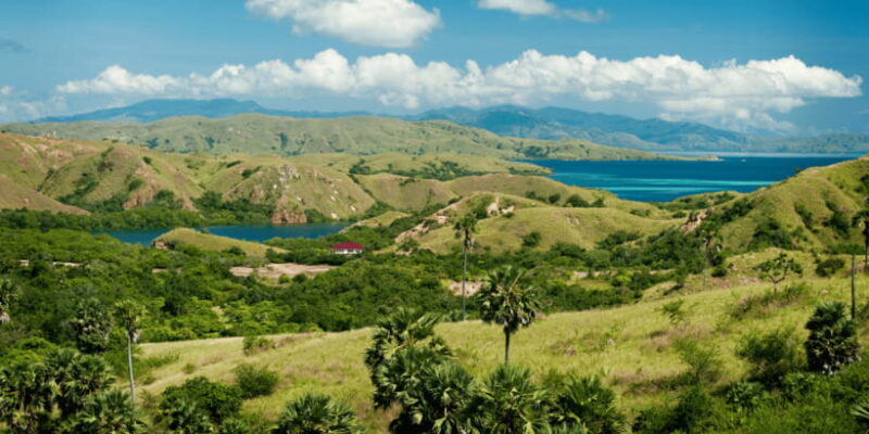 Komodo Island: Private 3-Day Tour with Boat and Hotel Stay - FAQ