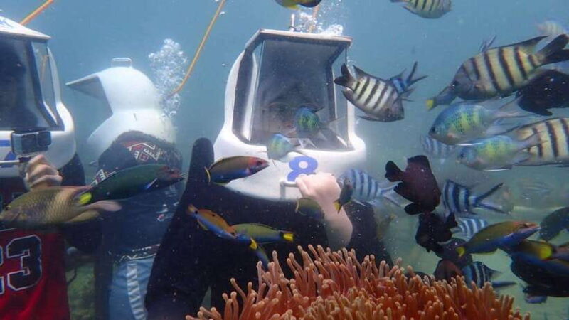 Kota Kinabalu: Snorkeling & Island Hopping Sapi & Manukan - Who Would Love This Tour?