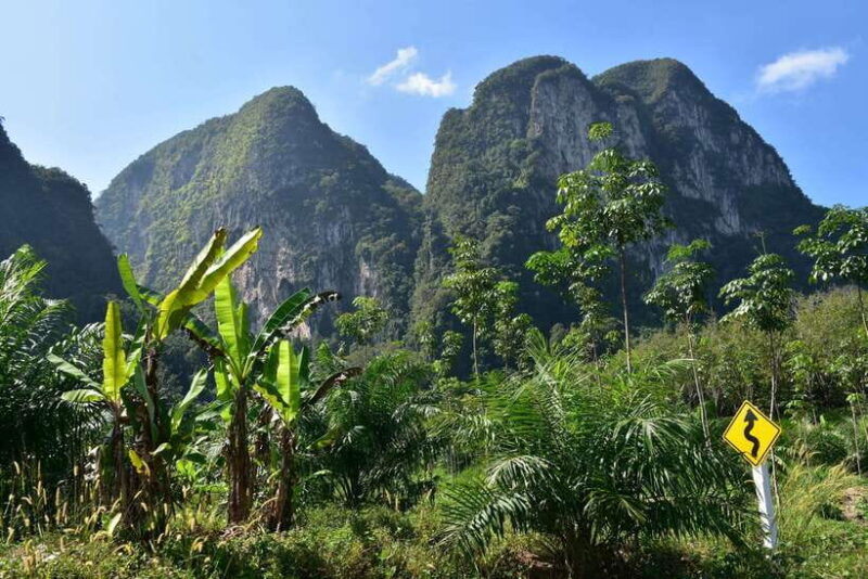 Krabi: A Kayaking Odyssey through Din Daeng Mangrove Maze - The Sum Up