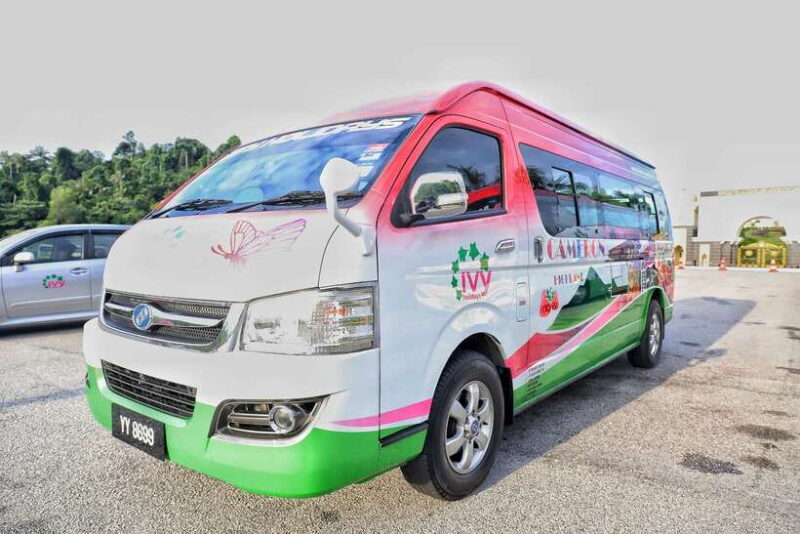 Kuala Lumpur: Sightseeing by Private Vehicle with Driver - How the Guides Make a Difference