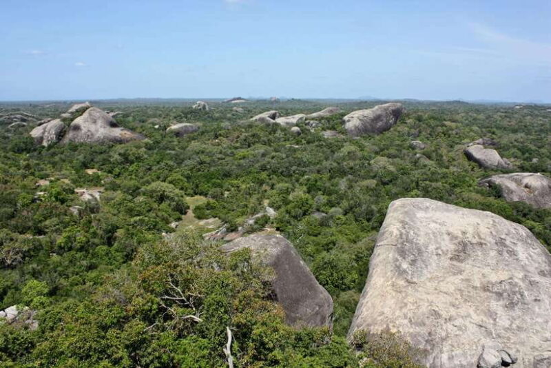 Kumana National Park : Morning or Afternoon Safari Tour - FAQ