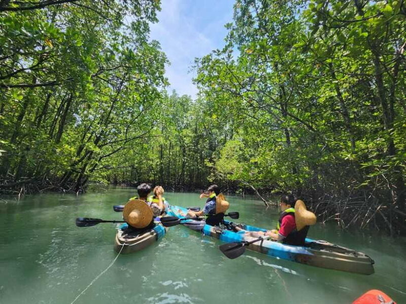 Langkawi : Kilim Mangrove Boat & Fun Kayak Tour with Lunch - Authentic Experiences and Honest Feedback