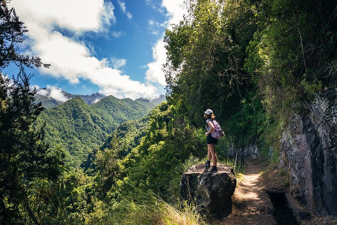 Levada do Rei (PR18) - Through Madeira's Majestic Laurissilva - The Sum Up