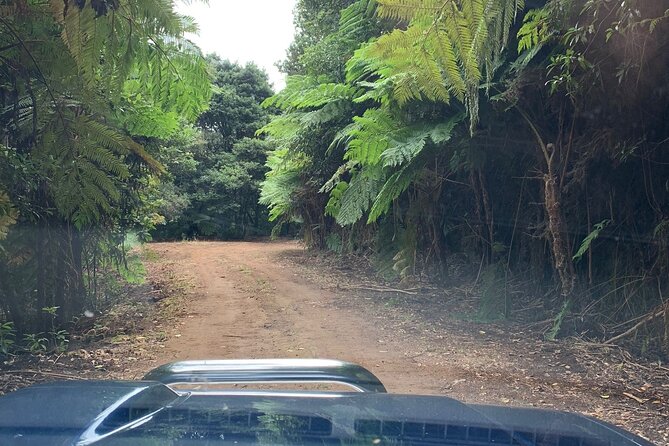 MADEIRA: Jeep Safari to Pico Arieiro & Santana local Houses - Duration and Timing