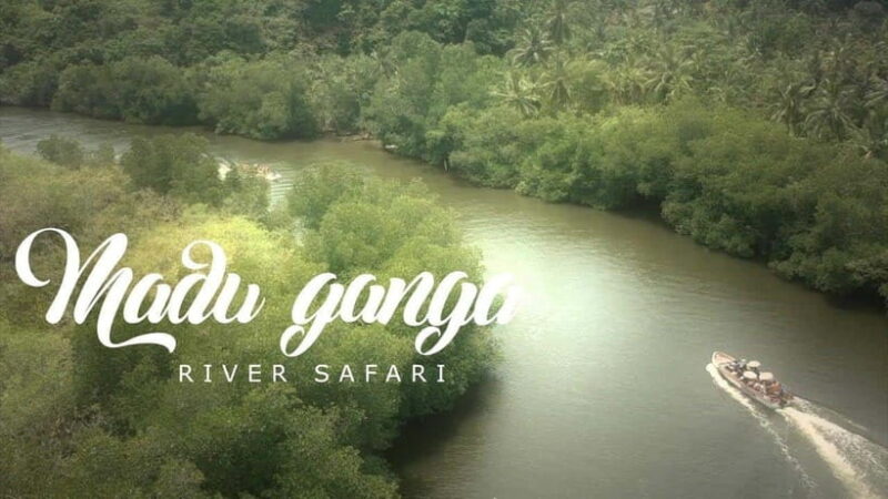 Madu River Boat Tour and Cinnamon Garden visit - The Sum Up