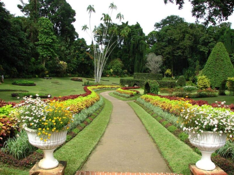 Memorable Tuk Tuk City Tour of Kandy - Practical Details and Considerations