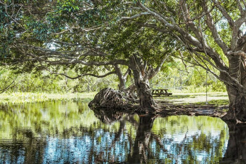 Miami: Everglades National Park Airboat Tour & Wildlife Show - Frequently Asked Questions