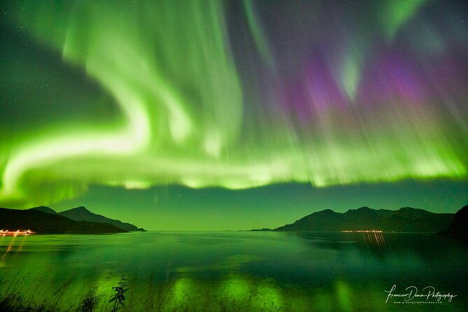Minivan Northern Lights excursion (8 guests per minivan) - FAQ: Your Practical Questions Answered